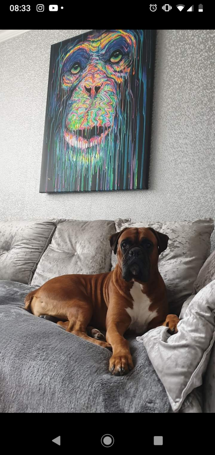 Customer Gallery – Oxley Art